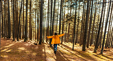 JBF takes agility to the next level with Keylane’s frequent release programme - Keylane